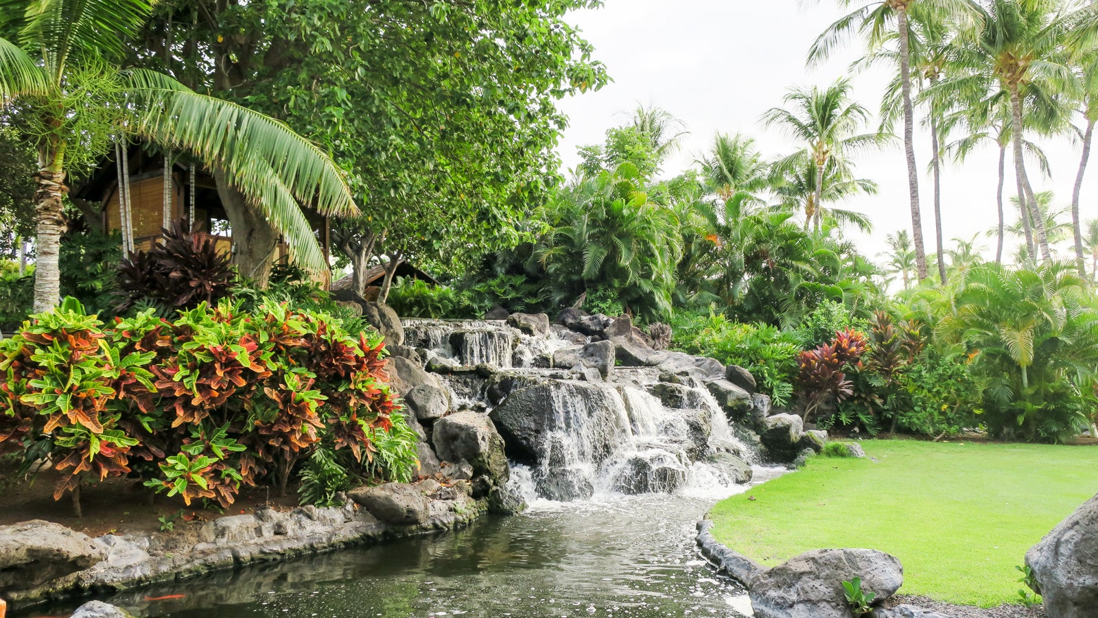 Una revisión de la orquídea Fairmont en la Isla Grande de Hawaii ...