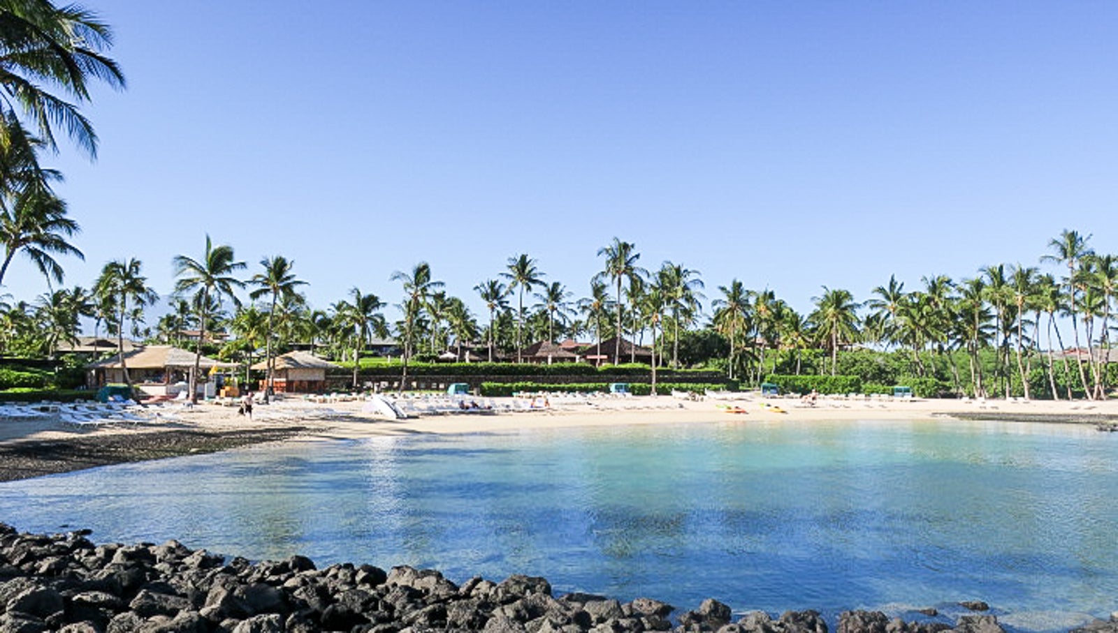 Una revisión de la orquídea Fairmont en la Isla Grande de Hawaii ...